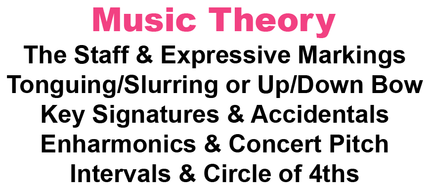 NinGenius Music Online - Music Theory Chromebook App