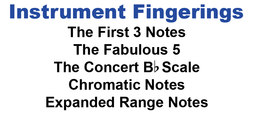 NinGenius Music Online - Music Theory Chromebook App